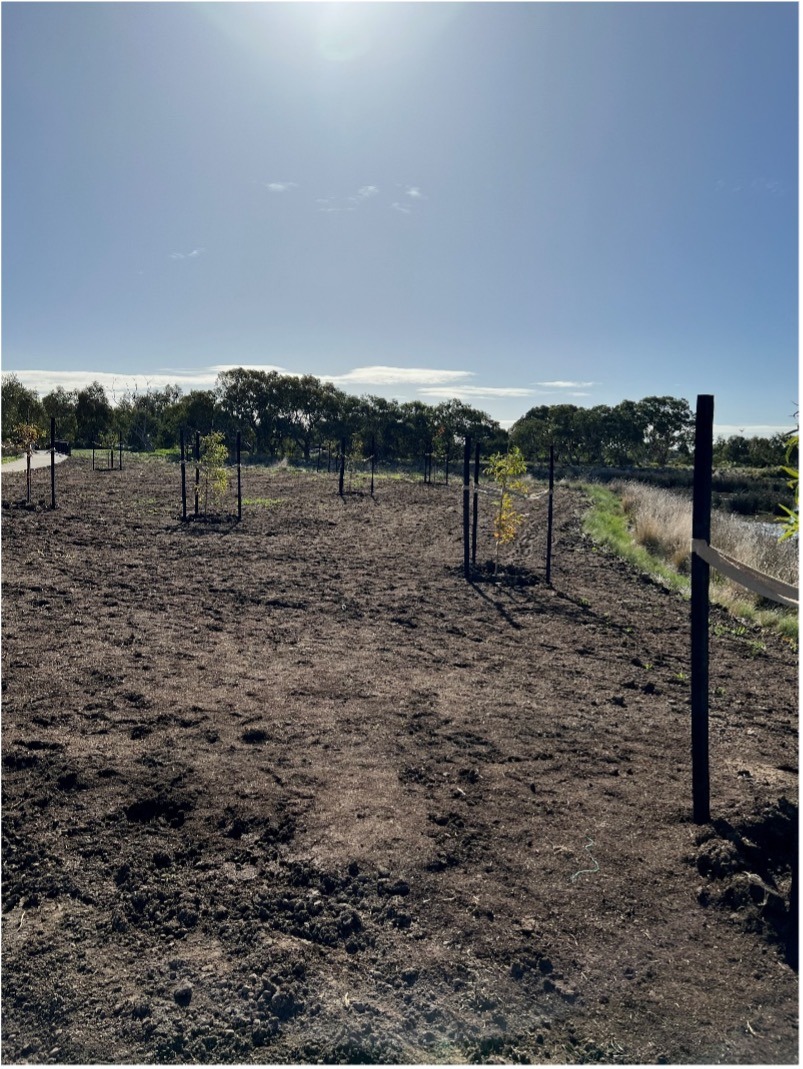The Mulch Centre